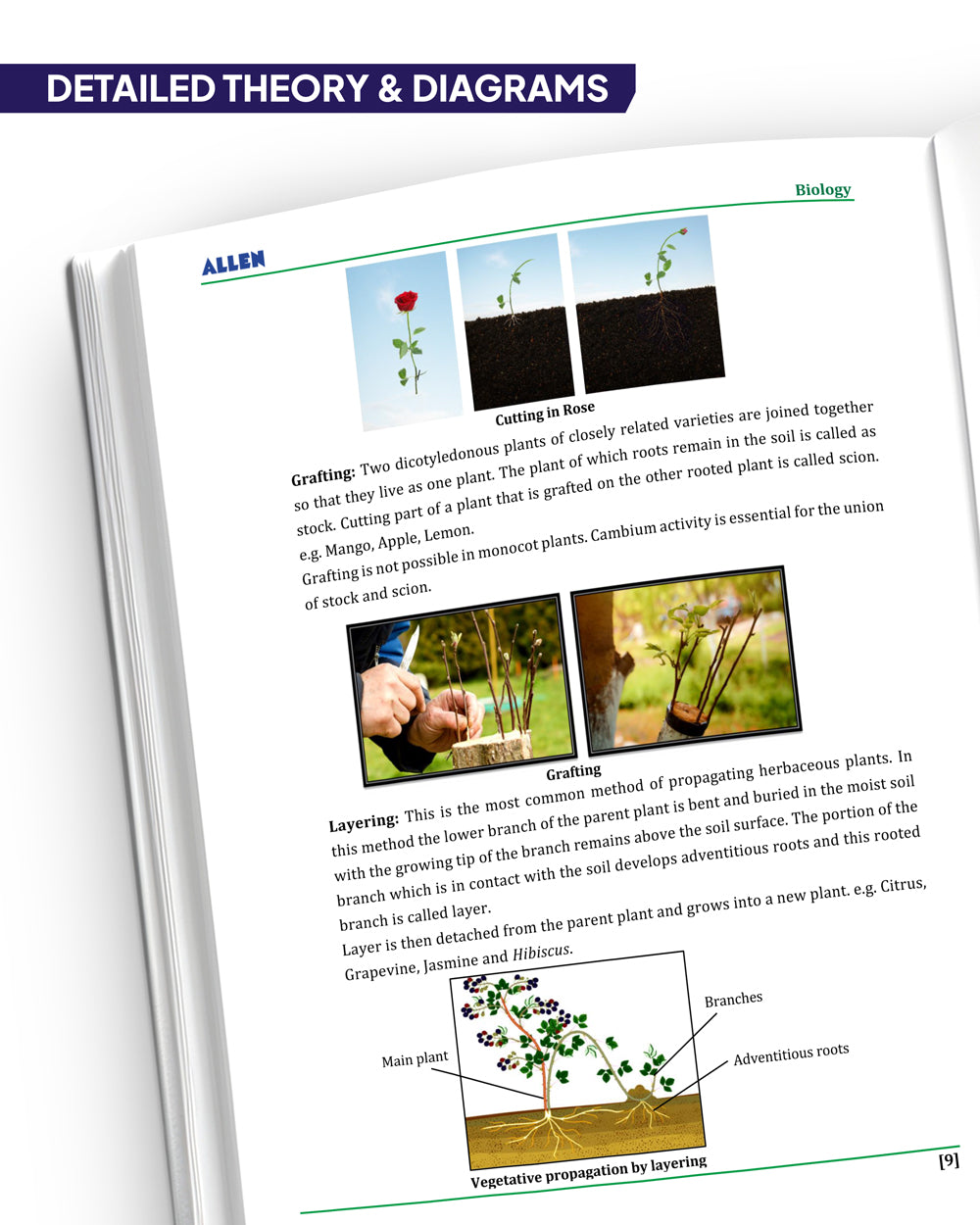 ALLEN Multicolor Modules for Class 10 NCERT Basics All-in-One Study ...
