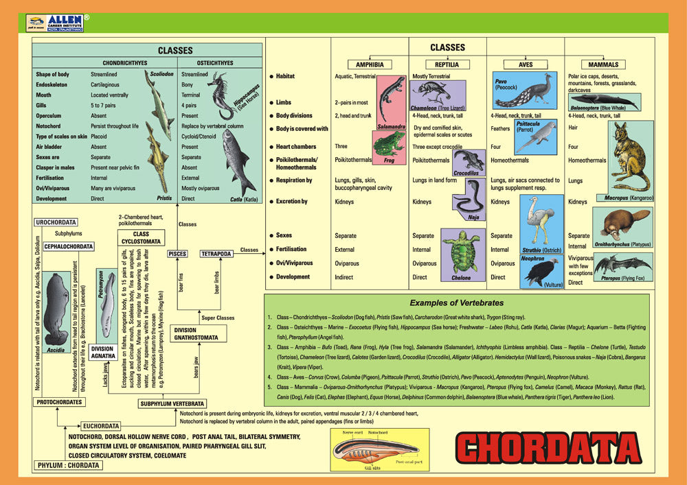 ALLEN Biology Modules for NEET UG with Solutions – Set of 10 Books ...