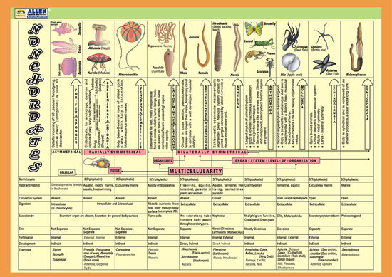 ALLEN Biology Modules for NEET UG with Solutions – Set of 10 Books ...